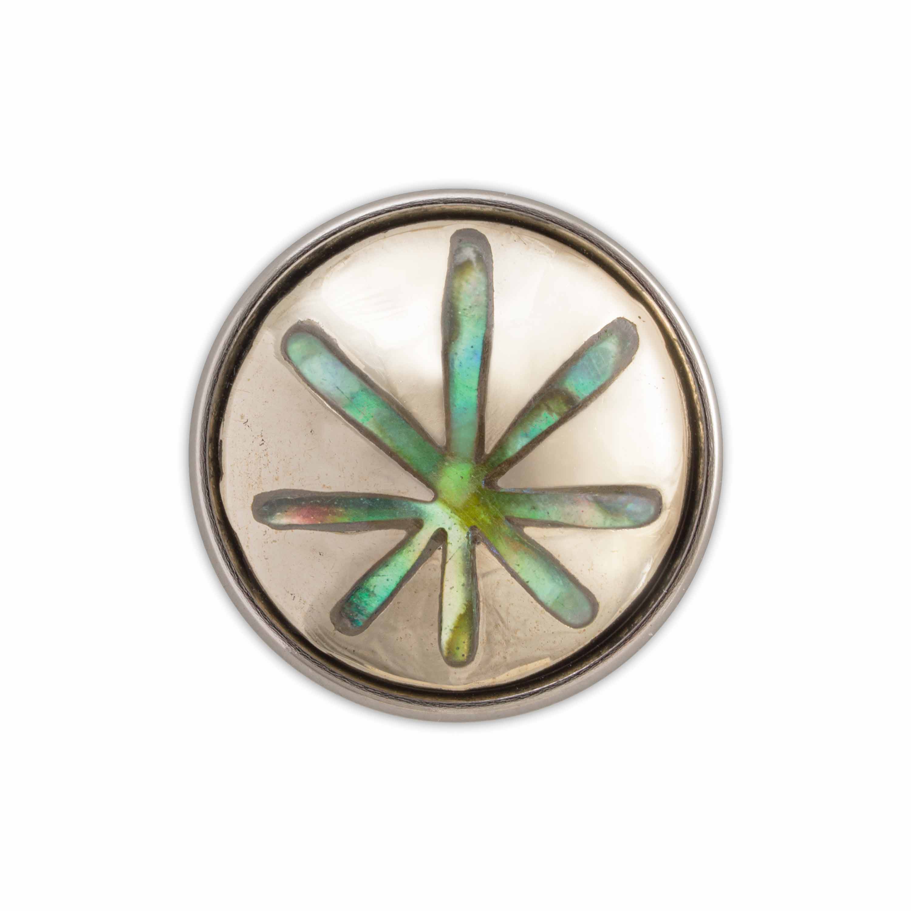 Noosa Chunk Original Circle of Life Abalone – Stones & Spirits